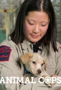 Animal Cops: Detroit: Season 13, Episode 16 | Rotten Tomatoes