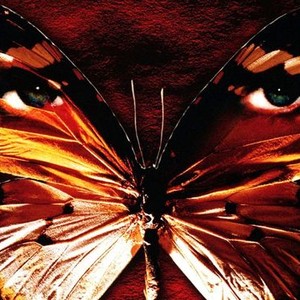 The Collector - Rotten Tomatoes