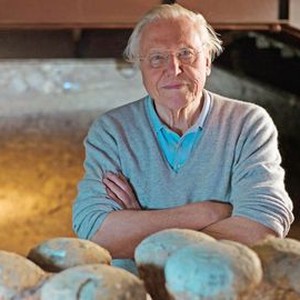 David Attenborough's Rise of Animals: Triumph of the Vertebrates ...