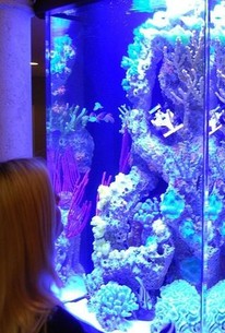 Fish Tank Kings: Season 1, Episode 3 | Rotten Tomatoes