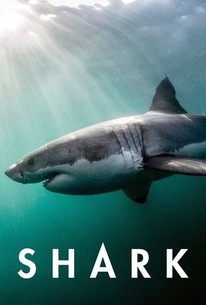 Shark: Season 1 | Rotten Tomatoes