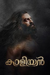 Kaaliyan | Rotten Tomatoes