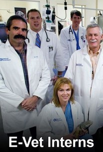 E-Vet Interns | Rotten Tomatoes