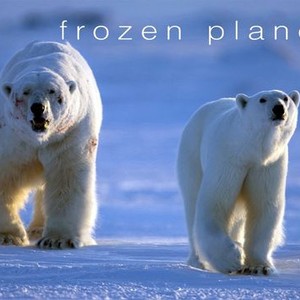 Frozen Planet: Season 1, Episode 5 - Rotten Tomatoes