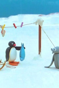Pingu: Season 3, Episode 2 | Rotten Tomatoes