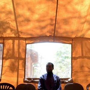 Wrong Elements - Rotten Tomatoes