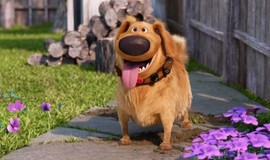 Dug Days - Rotten Tomatoes