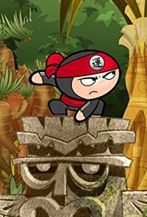 Chop Chop Ninja Challenge: Season 1, Episode 17 | Rotten Tomatoes