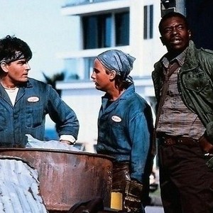 Men at Work - Rotten Tomatoes