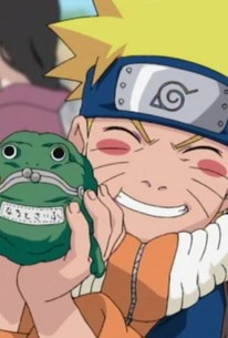 Naruto: Season 2, Episode 29 | Rotten Tomatoes