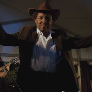 The Weird World of Blowfly - Rotten Tomatoes