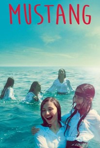 Mustang (2015) | Rotten Tomatoes