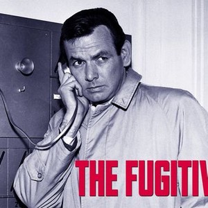 The Fugitive: Season 3, Episode 28 - Rotten Tomatoes