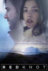 Red Knot | Rotten Tomatoes