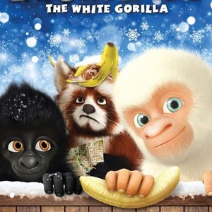 Snowflake, the White Gorilla - Rotten Tomatoes