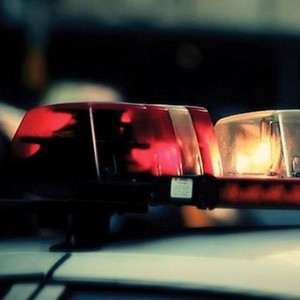 Cops - Rotten Tomatoes