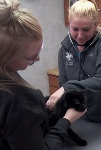 The Incredible Dr. Pol: Season 21, Episode 10 - Rotten Tomatoes