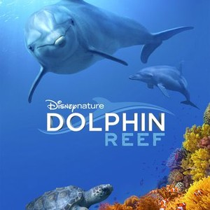 Dolphin Reef - Rotten Tomatoes