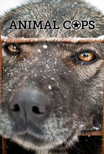 Animal Cops: Houston: Season 3 | Rotten Tomatoes