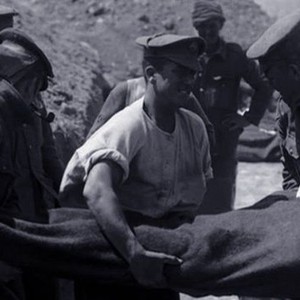 Gallipoli - Rotten Tomatoes