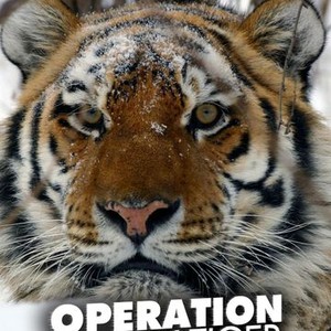 Operation Snow Tiger - Rotten Tomatoes