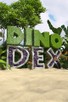 Dino Dex: Season 1 | Rotten Tomatoes