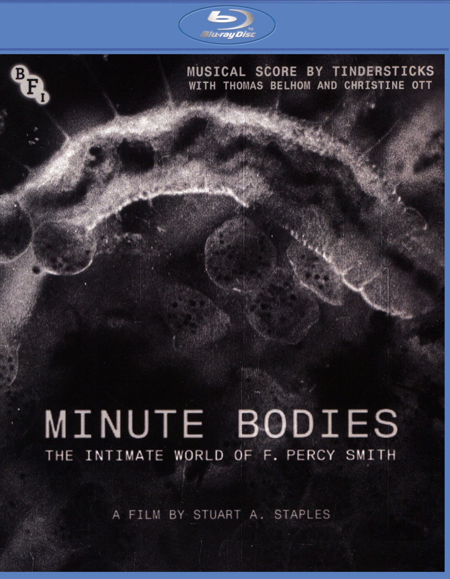 Minute Bodies: The Intimate World of F. Percy Smith Pictures | Rotten ...