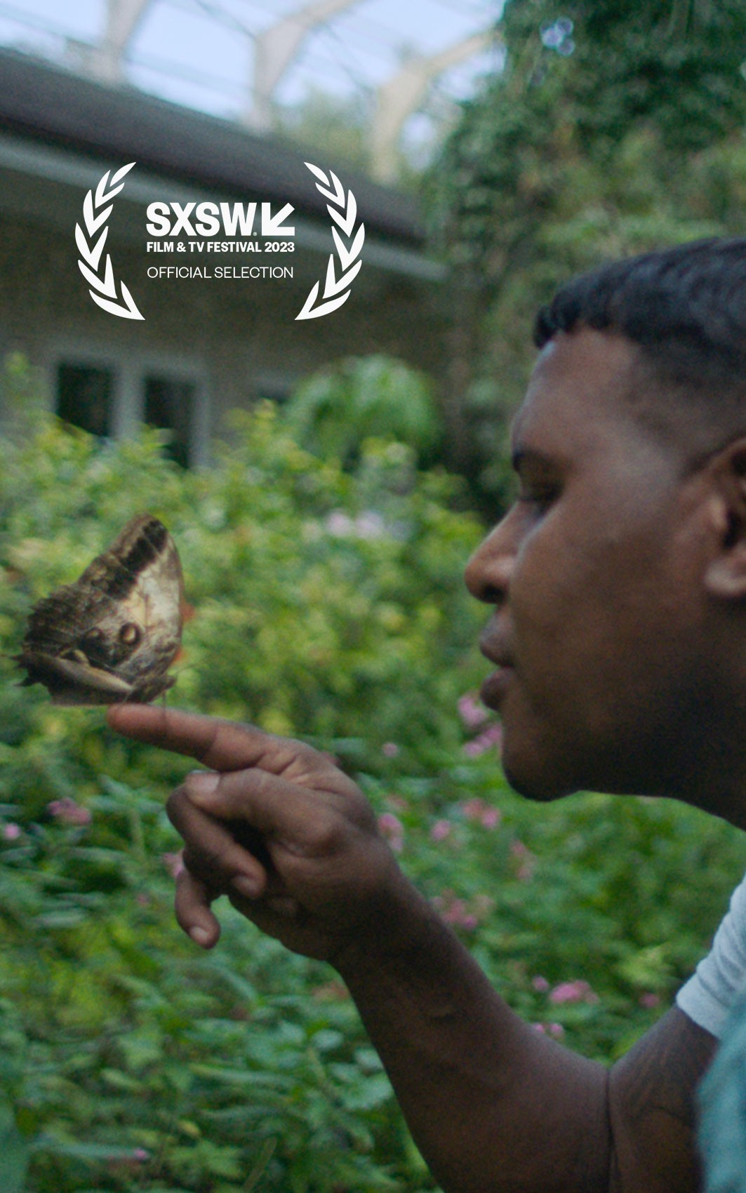 Caterpillar | Rotten Tomatoes
