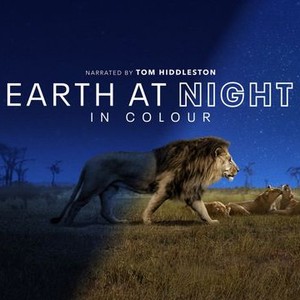 Earth at Night in Color - Rotten Tomatoes