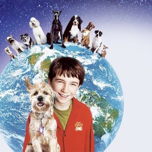 Good Boy! (2003) - Rotten Tomatoes