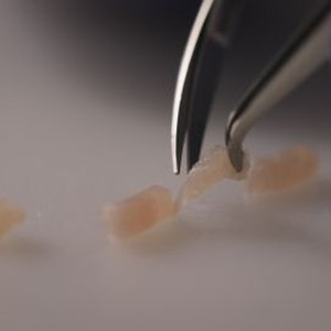Meat the Future - Rotten Tomatoes