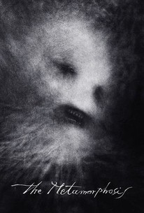 The Metamorphosis | Rotten Tomatoes