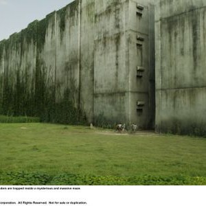 The Maze Runner - Rotten Tomatoes