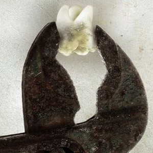 Vile - Rotten Tomatoes