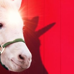A Unicorn for Christmas - Rotten Tomatoes