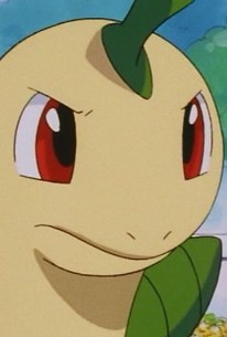 Pokémon the Series: Johto League Champions, Episode 43 - Rotten Tomatoes