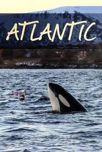 Atlantic - Rotten Tomatoes