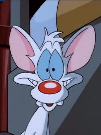 Pinky Og Hjernen Narf Pinky And The Brain's Clones (Animaniacs Reboot