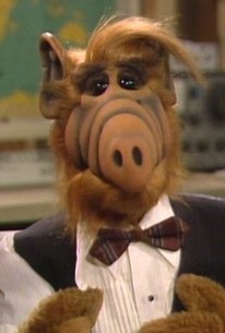 ALF: Season 3, Episode 12 | Rotten Tomatoes