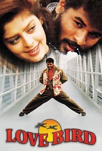 Love Birds | Rotten Tomatoes