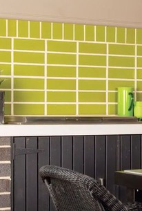 The Home Team: Season 3, Episode 17 | Rotten Tomatoes