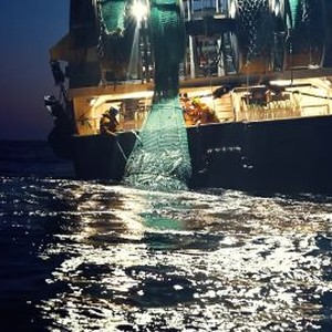 Seaspiracy - Rotten Tomatoes