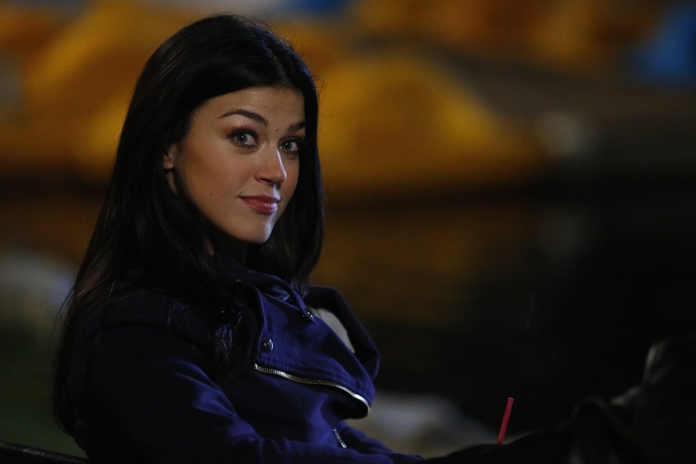 Adrianne Palicki Brown Hair