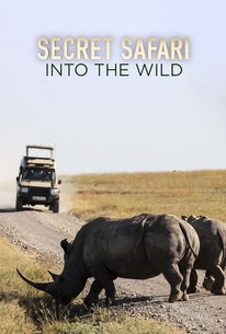 Secret Safari: Into the Wild | Rotten Tomatoes