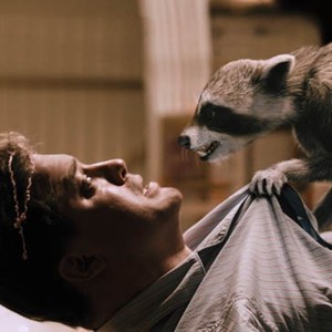 Furry Vengeance - Rotten Tomatoes