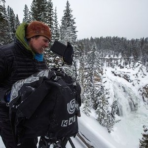 John Shier - Rotten Tomatoes