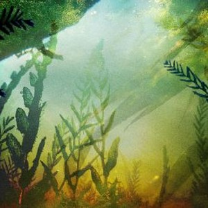 Something Bit Me! - Rotten Tomatoes