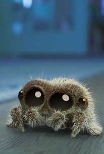 Lucas the Spider: Season 1, Episode 6 | Rotten Tomatoes