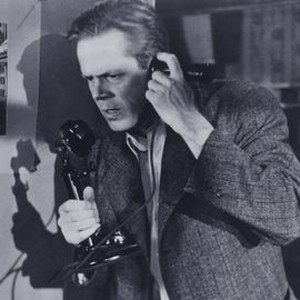 Chicago Calling - Rotten Tomatoes