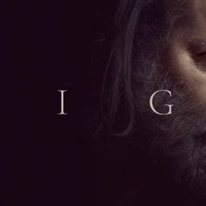 Pig - Rotten Tomatoes